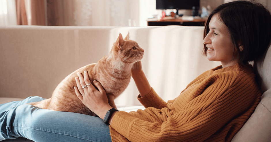 Sinais de Estresse e Desconforto em gatos