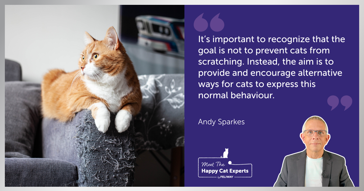 It’s Only a Scratch! Cat Scratching—A Happy Cat Expert Explains