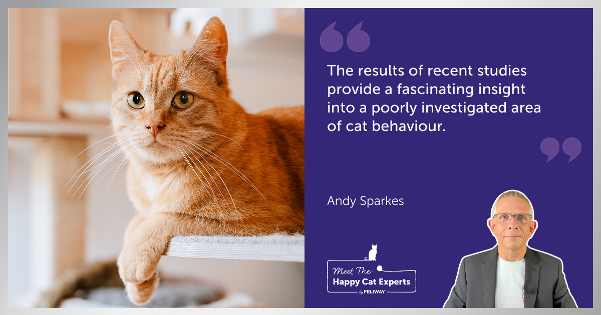 Feline Facial Expressions: A Happy Cat Expert Explains!
