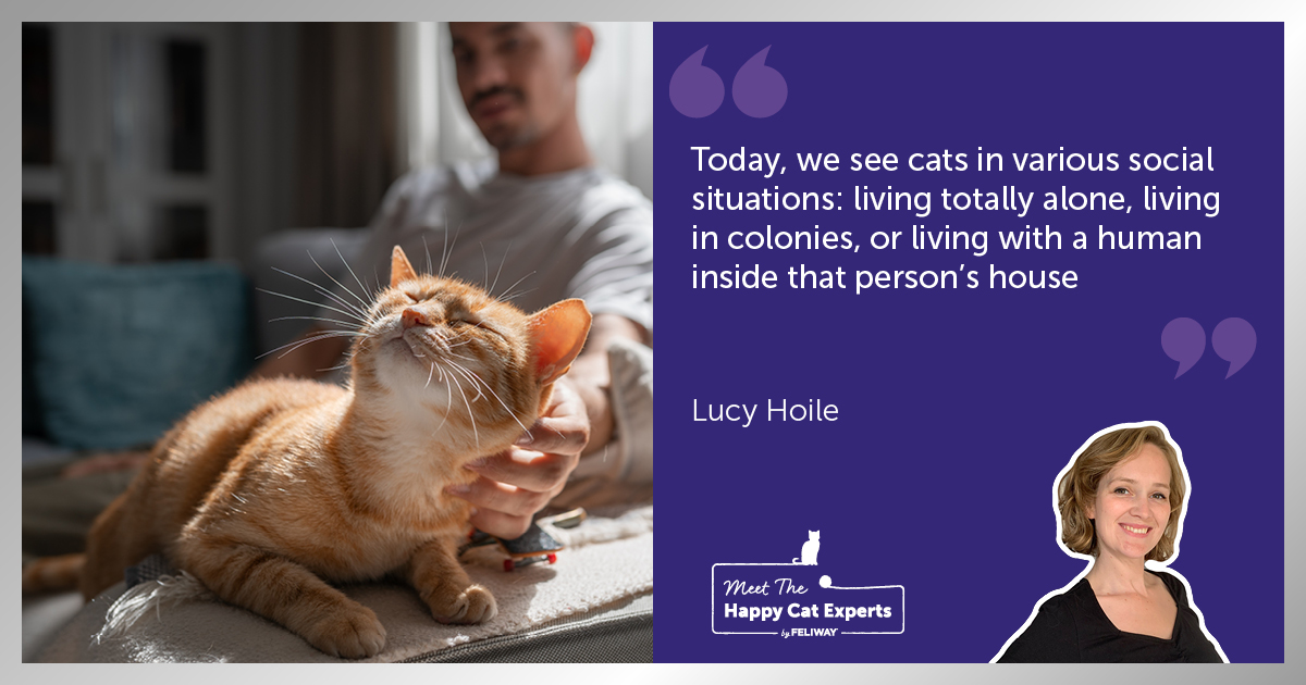Domestication & Shaping Cat Behaviour: A Happy Cat Expert Explains!