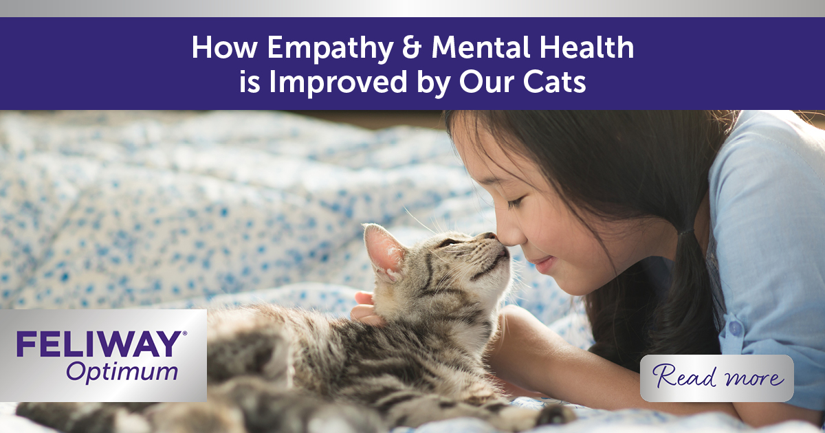 How Empathy & Mental Health is Improved by Our Cats