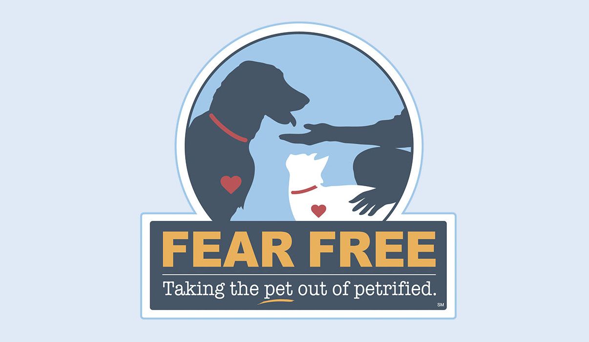Fear Free bij de dierenarts