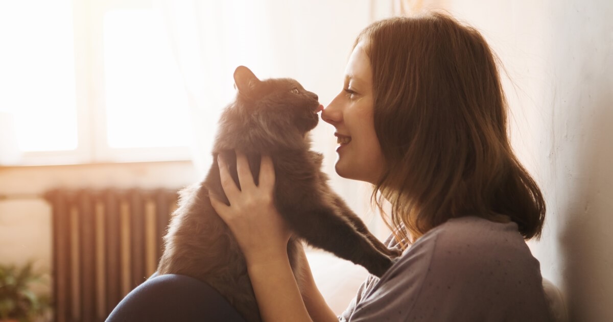 O ponto de vista de um gatinho: por que meu gato baba?
