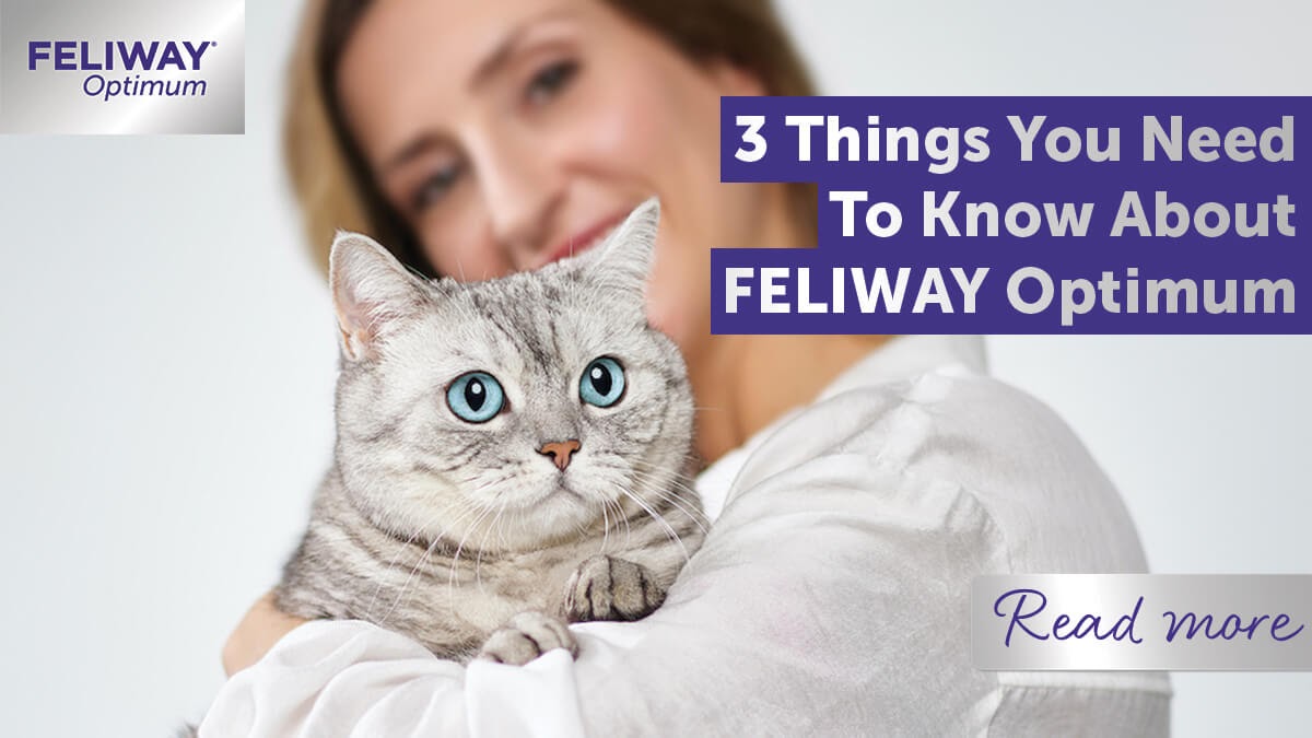 3 Things You Need to Know About FELIWAY Optimum!