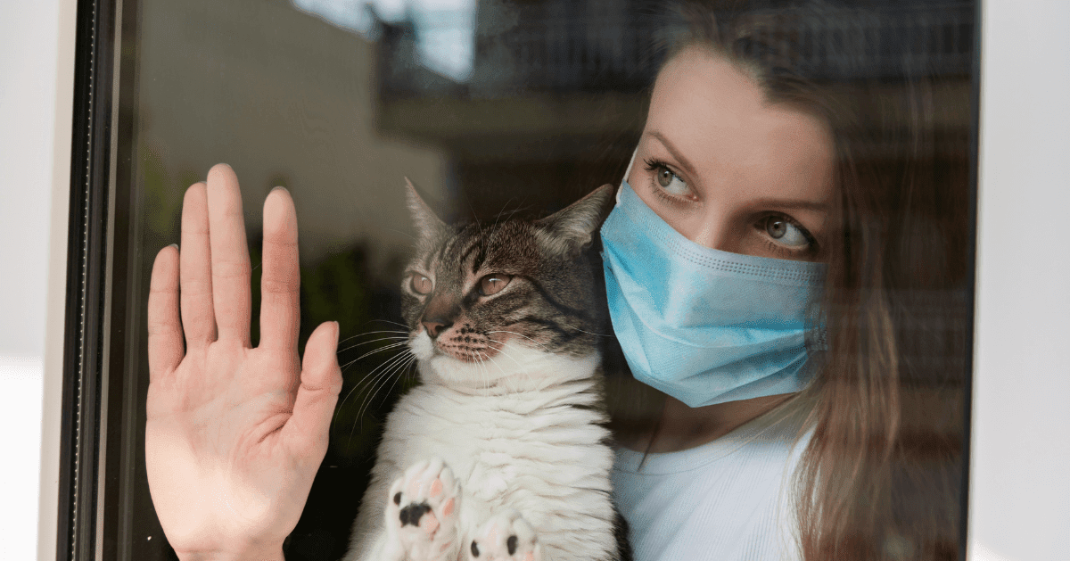 How COVID 19 Lockdown Affected Our Cats
