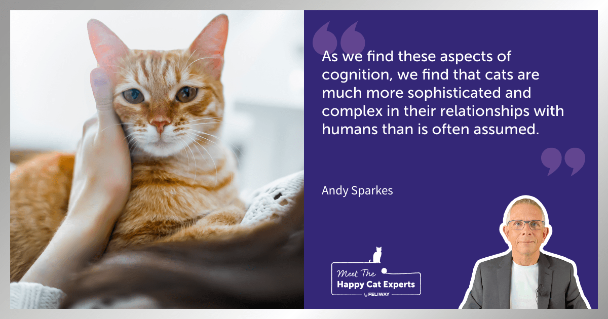 Do Cats Recognize Their Name? A Happy Cat Expert Explains