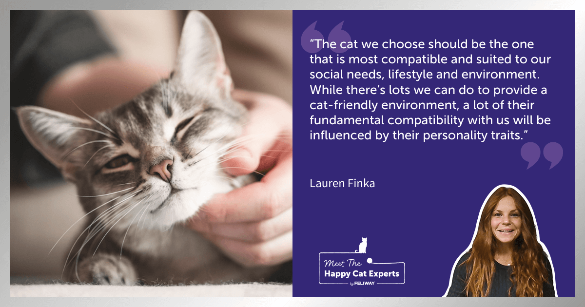Important Cat Personality Traits: Happy Cat Expert