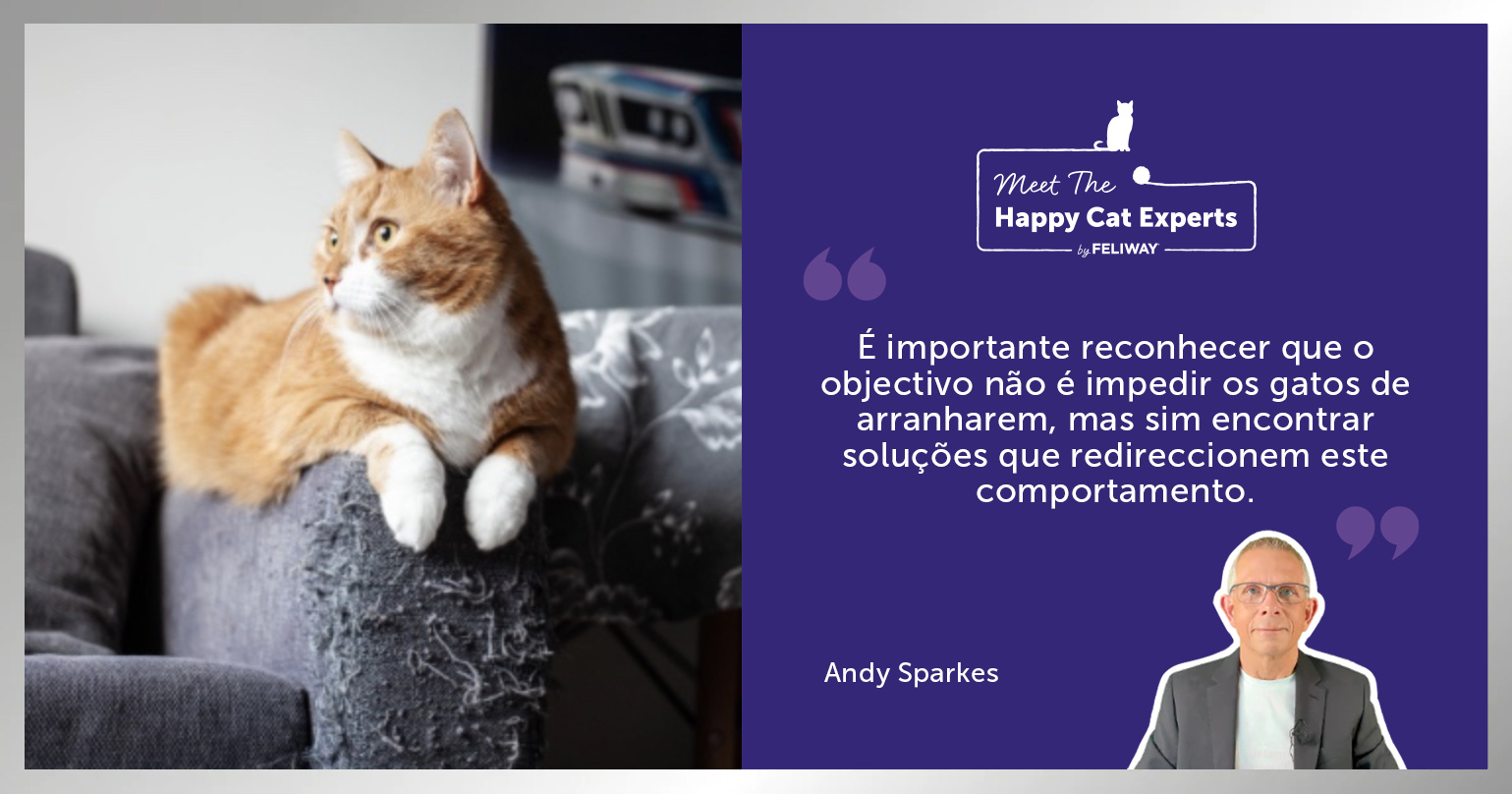 É apenas um arranhão? - O nosso especialista explica!