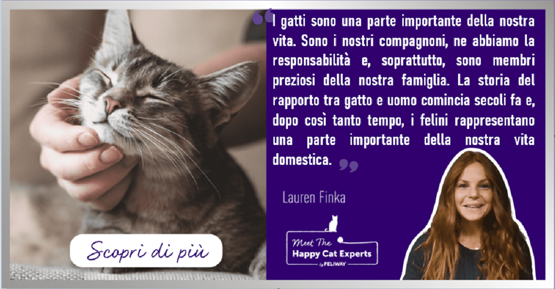 10 curiosità sui gatti che forse non conoscevi