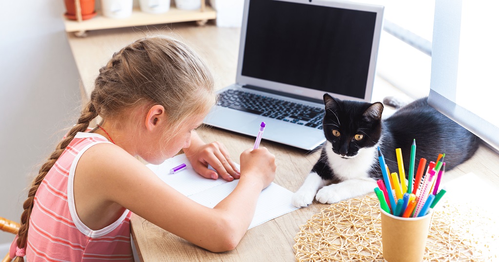 Επιστροφή στο σχολείο ή την εργασία; Περιορίστε το άγχος της γάτας σας